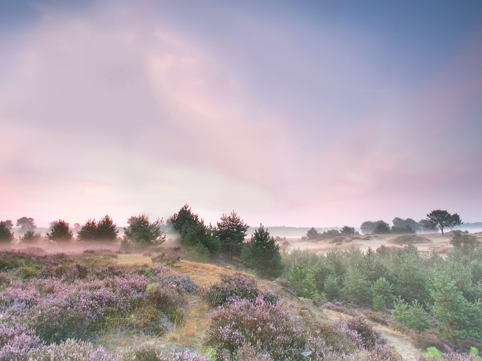 Parkeren gemeente Westerveld